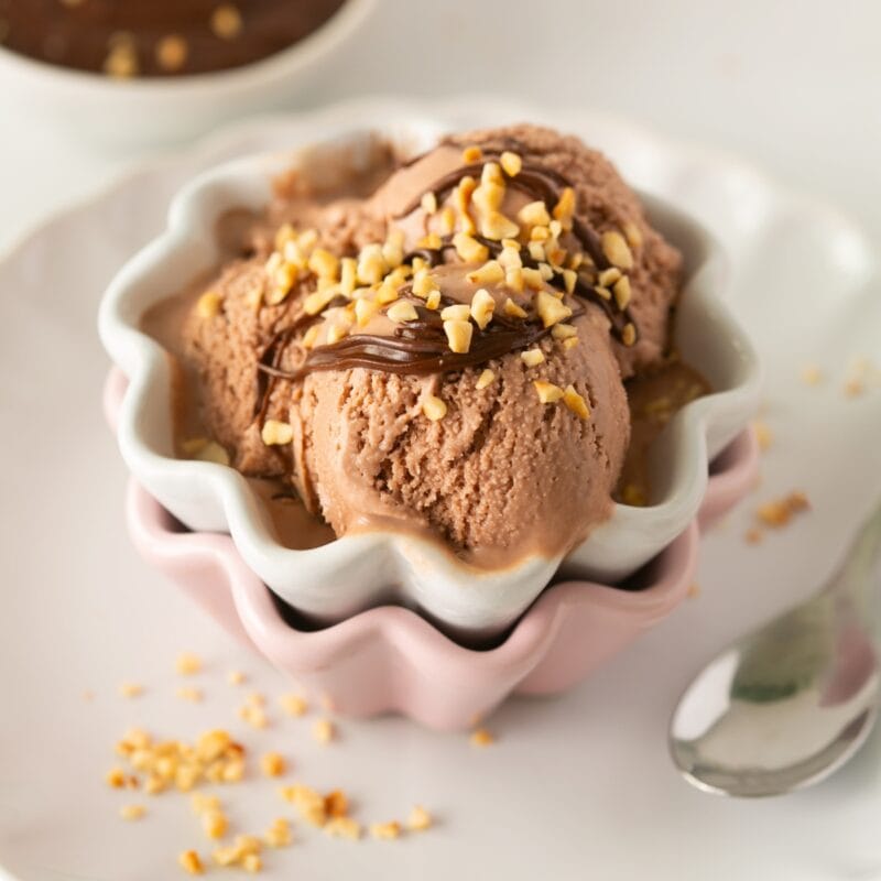 Nutella Gelato - The Petite Cook™